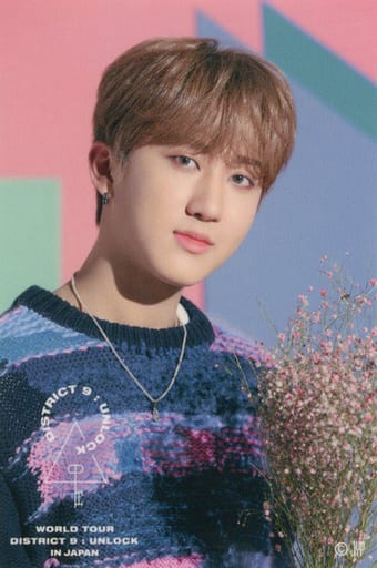 Sticker sticker Chan Bin original sticker "Stray Kids World Tour ...