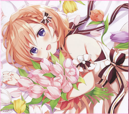 Cocoa reproduction colored paper "Comics Is the Order a Rabbit? Complete Blend Vol. 1 ~ Vol. 2 ...