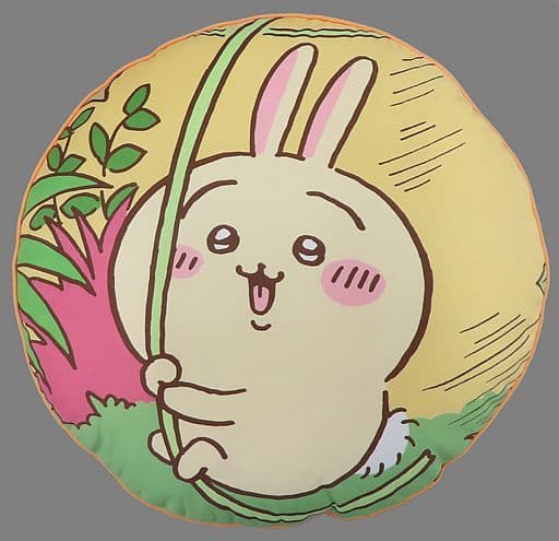 Rabbit (Tarzan Rope) Floor Cushion "Chii Kawa something small and cute × Shimamura" | Goods ...