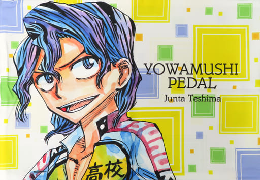 Teshima Junta Pillow Cover Sohoku High School Ver. "YOWAMUSHI PEDAL ...