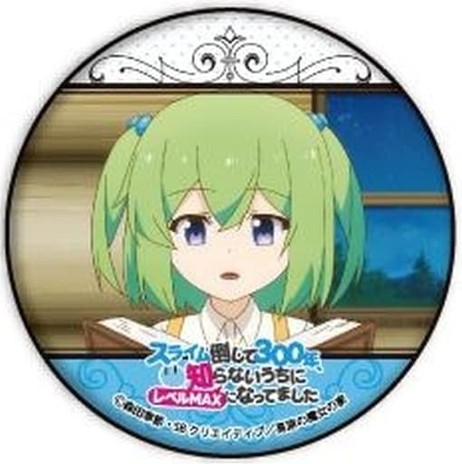 Sharsha : "After I beat the slime, in 300, I was unwittingly at MAX ...