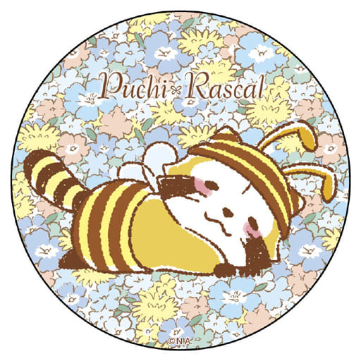 Petit Lascar (Mitsuba Chi / Good Night) canned batch "Coon Lascar ...