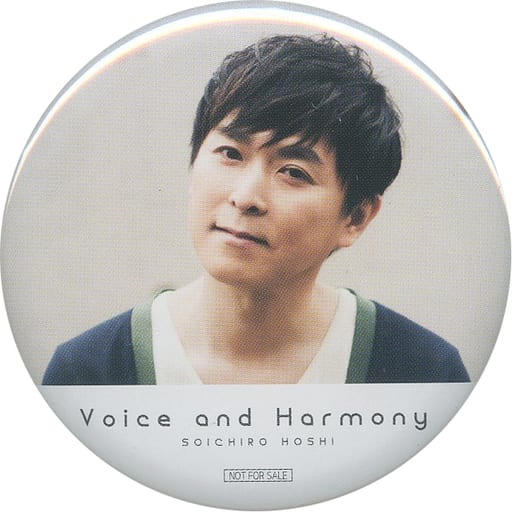 Soichiro Hoshi metal badge "CD Voice and Harmony" Animate Purchase ...