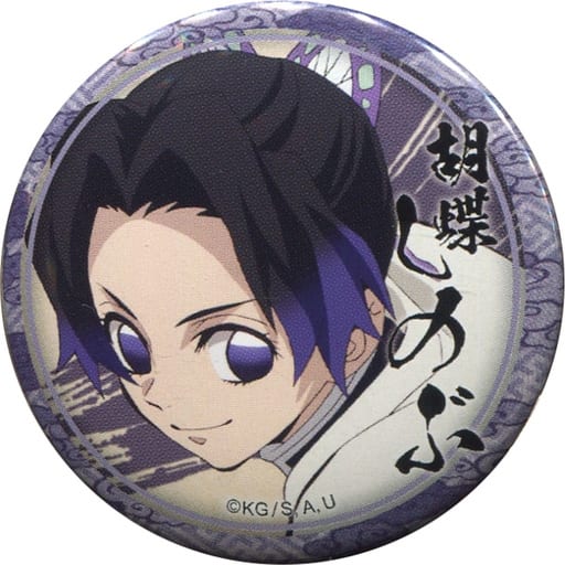 Kocho Shinobu (Hashiri) 「 Demon Slayer: Kimetsu no Yaiba Character ...