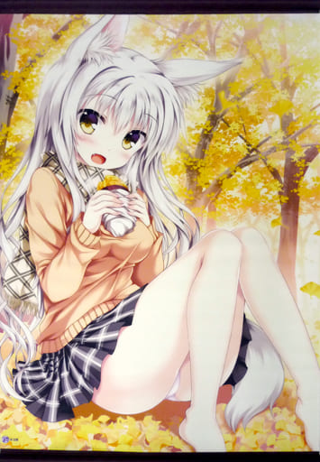 立羽 Illustration B2 Tapestry C89 Goods | Goods / Accessories | Suruga-ya.com