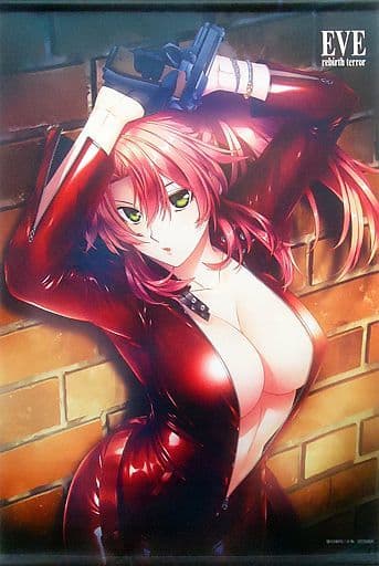 [A la Carte] B2 tapestry "PS4/PS Vita Soft EVE rebirth terror" Sofmap Purchase benefits | Goods ...