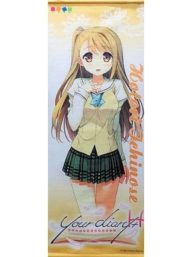 駿河屋 - 一ノ瀬ほとり 等身大タペストリー 「your diary+H」 ソフマップ限定（タペストリー）