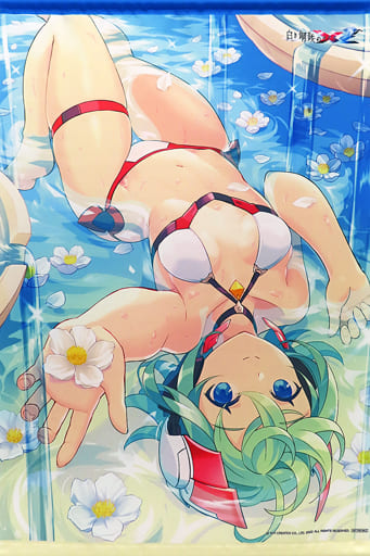 Tapestry RoRo painted B2 Tapestry "PS4/Switch soft white steel X2" Sofmap Purchase benefits ...