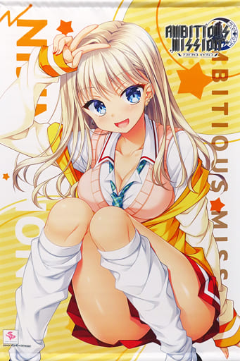 [A la Carte] Hongō Nijimmu Original B2 Tapestry "PC Soft AMBITIOUS MISSION" Sofmap Purchase ...