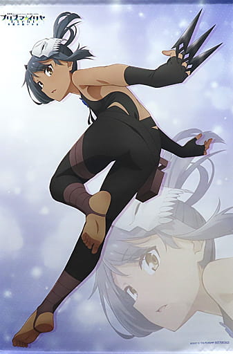 Tapestry Miyu Edelfelt B2 Tapestry "Blu-ray Movie Fate / Kaleid Liner ...