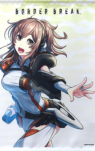 "PS4 Soft BORDER BREAK Tapestry Pack" Sega Store Purchase benefits ...