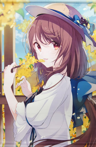 駿河屋 - [破損品] 2017/10/06(U35) B2タペストリー 「姫繰三六五タペストリーコレクション」（タペストリー）