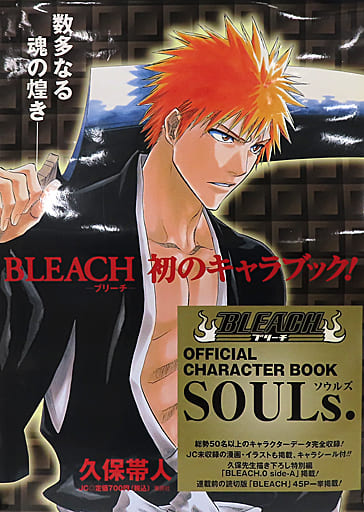 Ichigo Kurosaki / Kutsuki Rukia B3 promotional Tapestry "Bleach ...