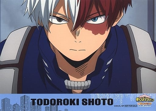 Character card Shoto Todoroki Illustration Sheet 「 MY HERO ACADEMIA in ...