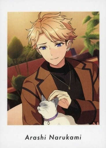 Character card NARUKAMI ARASHI "Ensemble Stars! P.A. shots! Vol. 1 ...