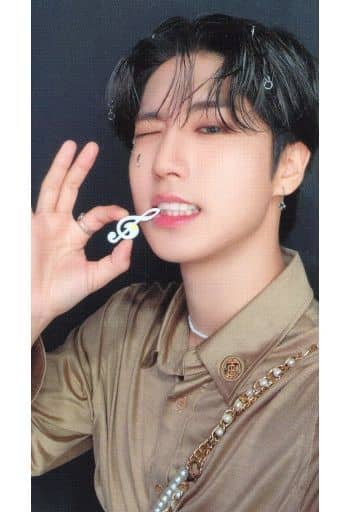 Character card [Single Item] Han (Stray Kids) / Selfie photo card A "CD ...