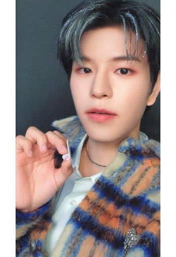 Character card [Single Item] Sunmin (Stray Kids) / Selfie photo card A ...