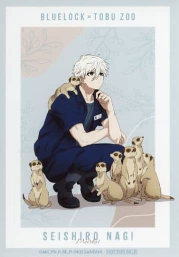 Character card [A la Carte] calm sea Seshiro Bromide "Blue Rock x I ...