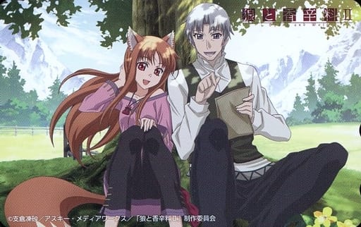 Holo / Craft Lawrence "Spice and Wolf II" | Toy Hobby | Suruga-ya.com