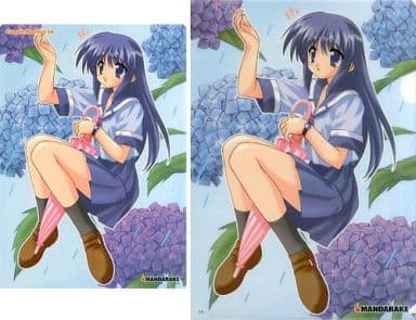 [Original] plastic trasparent file folder & Underlay (Fish) / Mandarake | Doujin | Suruga-ya.com