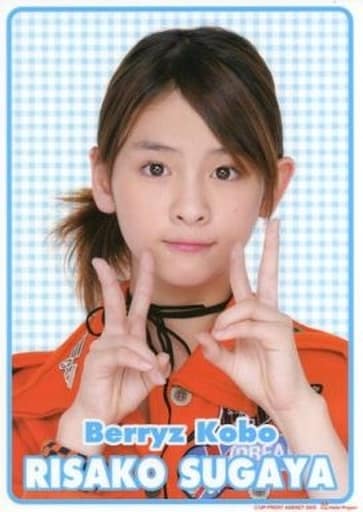 駿河屋 - 菅谷梨沙子(水色チェック) Berryz工房 下敷き Hello! Project オフィシャルグッズ（下敷き）