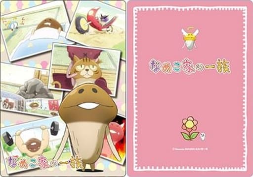 Nameko (Photo) B5 Shitajiki B' Nameko family' | Goods / Accessories ...