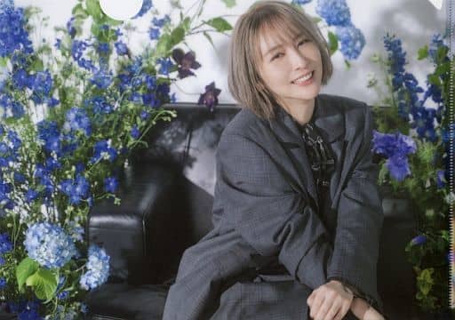 駿河屋 - 藍井エイル A4クリアファイル(10周年アニバーサリーver) 「CD PHOENIX PRAYER」 Eir Land会員限定予約特典（クリアファイル）