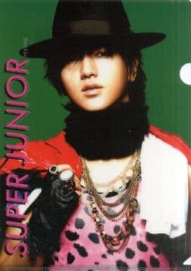 Clear File (Male idol) Yesung / Background Green / Hat A4 clear file ...
