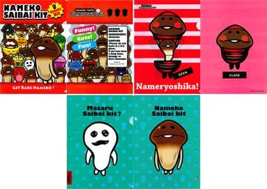 Touch Detective Nameko Cultivation Kit Mini Clear File 3-Pack Set ...