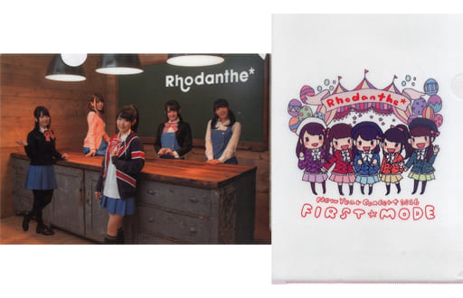[A la Carte] Rhodanthe * A4 Clear File Set (2-Pack) 「 Rhodanthe * New ...