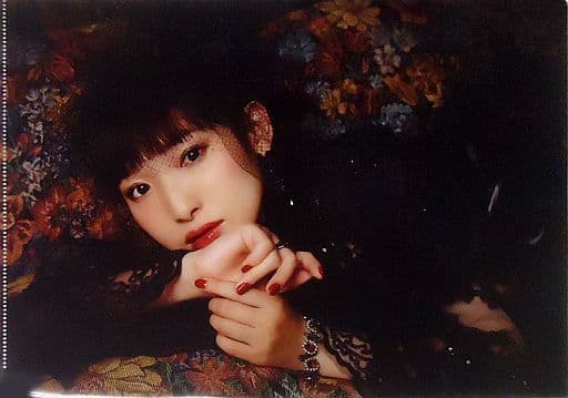 Clear File (Female idol) Yoshino Nanjo (fripSide) original A4 clear ...