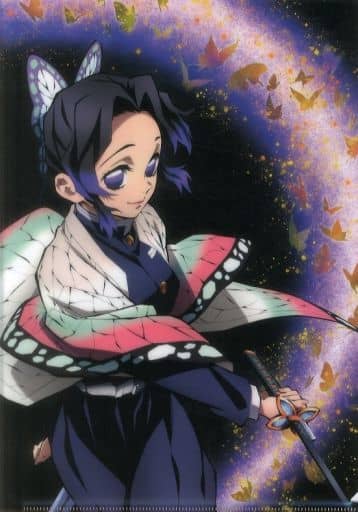 Clear file Kocho Shinobu A4 Clear File 「 Demon Slayer: Kimetsu no Yaiba ...