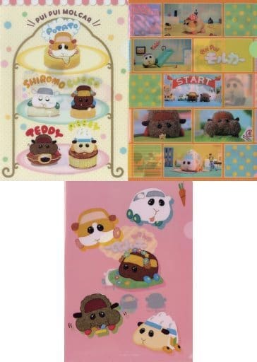 Clear file Set A4 Clear File 3-Pack 「 PUI PUI Molcar x Lawson 」 | Goods / Accessories | Suruga ...