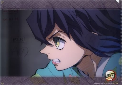 Inoko (Hashibira Inosuke) Famous Scene Layered A4 plastic trasparent ...