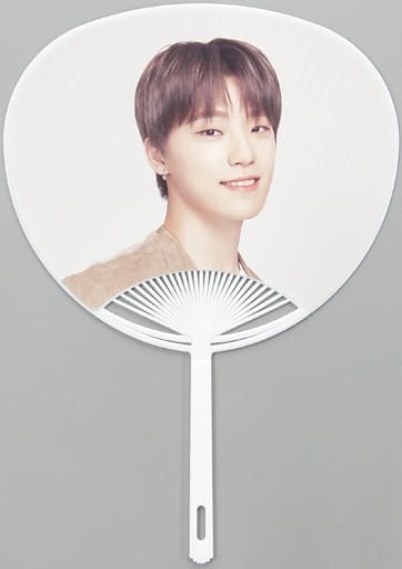 Fan Dino Live Viewing Original Mini Uchiwa 「 Seventeen WORLD TOUR IN ...