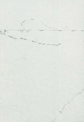 Domestic mystery The Complete Works of Soji SHIMADA 8 | Book | Suruga ...