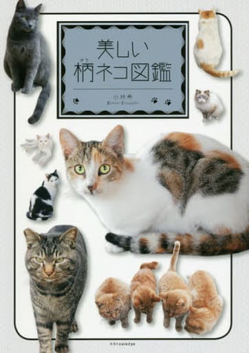 Livestock industry Beautiful Cat Guide | Book | Suruga-ya.com