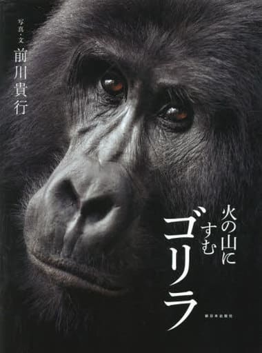 Children's book Gorillas of Mt. Hino-yama | Book | Suruga-ya.com