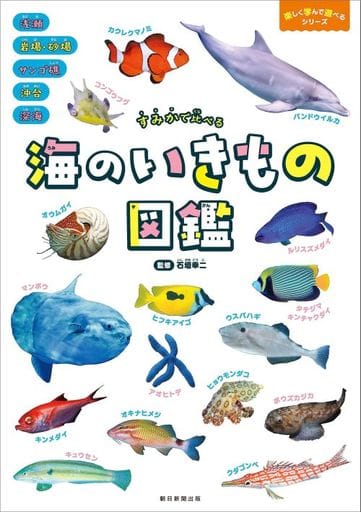 駿河屋 - すみかでくらべる美しい 海のいきもの図鑑（図鑑・事典・年鑑）