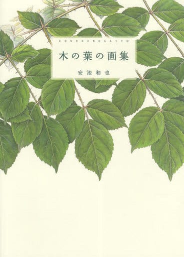 Book (Practical) Art Tree Leaf Art Book | Book | Suruga-ya.com