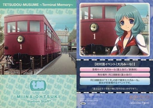 DS03 Normal : Mina Ōtsuki | Toy Hobby | Suruga-ya.com