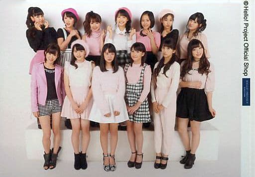 Morning Musume.' 15 / Gather (13 people) / Horizontal ・ Whole body ...