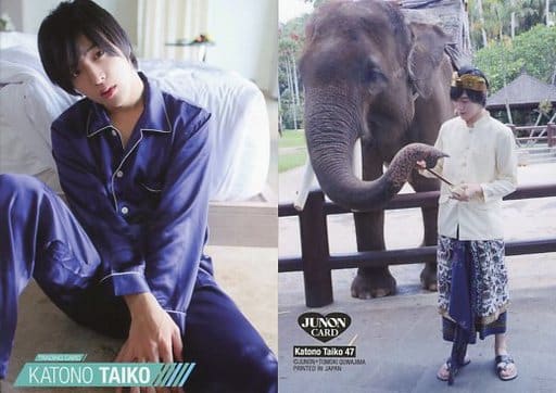 Collection Card (Male) / Taiko Katono First Trading Card Katono Taiko ...