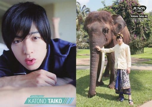 Collection Card (Male) / Taiko Katono First Trading Card Katono Taiko49 ...