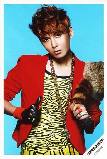Ryeowook Mr Simple