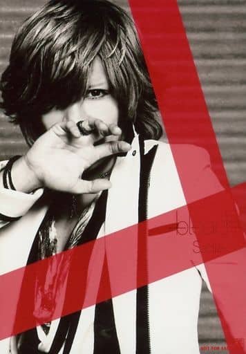Official photo (Male) / visual kei band / Sadie Sadie / Mao / CDs ...