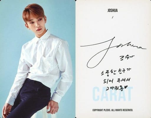 Collection Card (Male) / Seventeen Fan Club "CARAT" 2 nd Term Special ...