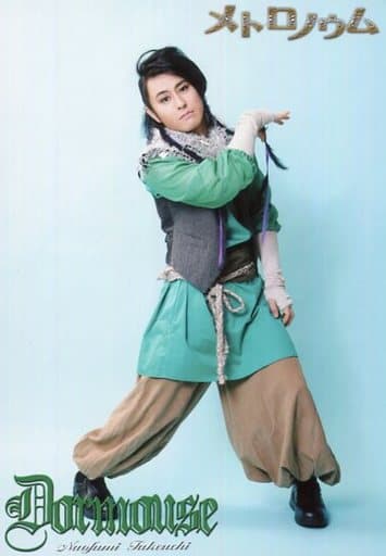 Takeuchi Sho Bun (Dormouse) / Whole Body / Costume Green Gray Brown ...