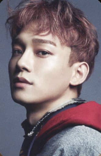 Collection Card (Male) / CD 「 COUNTDOWN 」 First Press Limited Special Trading Card EXO/CHEN / CD ...