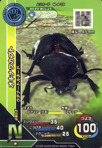 M-4-18 [N] : Okinawa Kabuto | Toy Hobby | Suruga-ya.com